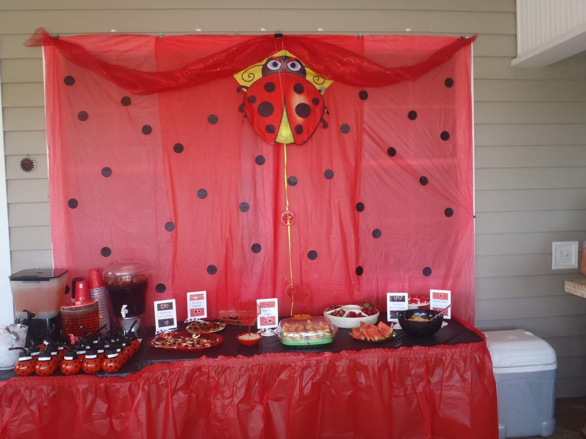 Ladybugs Birthday Party Ideas | Photo 1 of 29 | Catch My Party