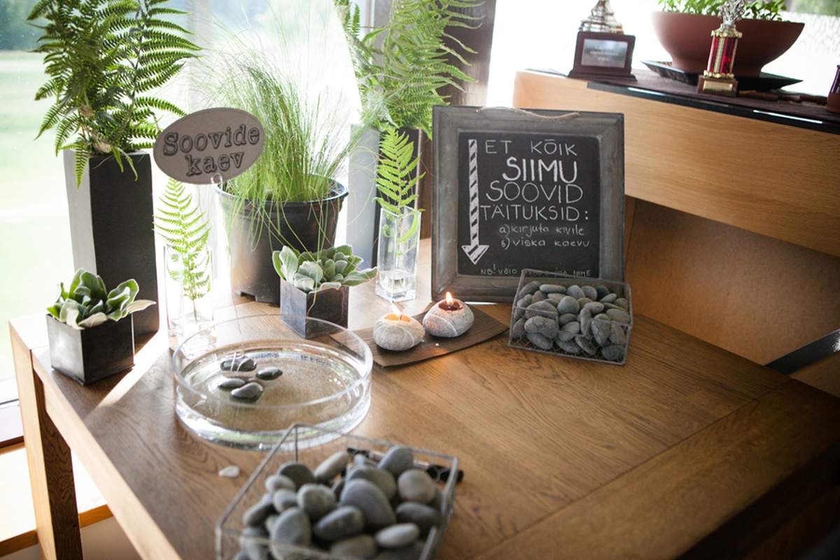 Stones and forest Birthday Party Ideas | Photo 7 of 20 | Catch My Party