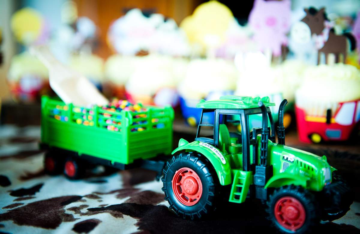 Down on the Farm/All About Tractors Birthday Party Ideas | Photo 1 of ...
