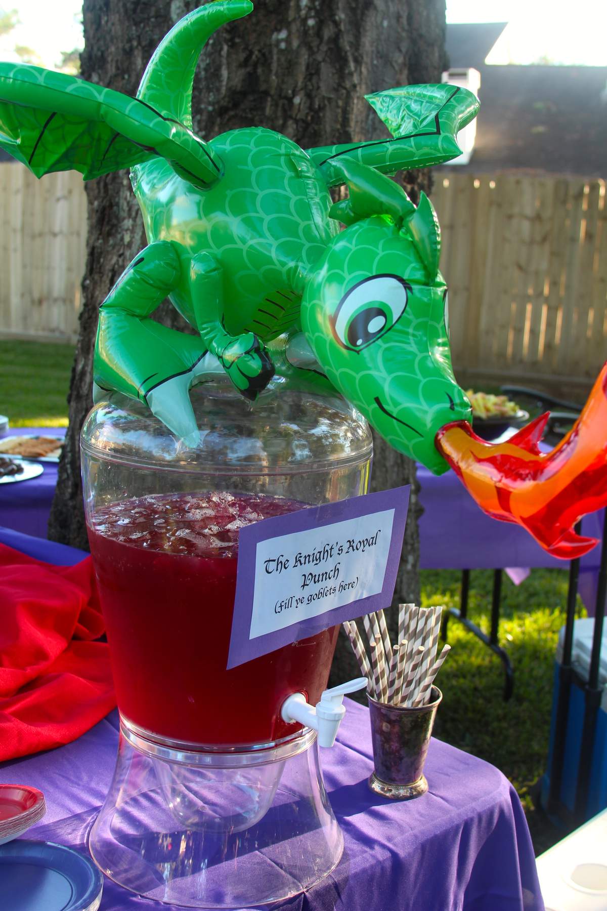 Knights and Dragons Birthday Party Ideas | Photo 12 of 29 | Catch My Party
