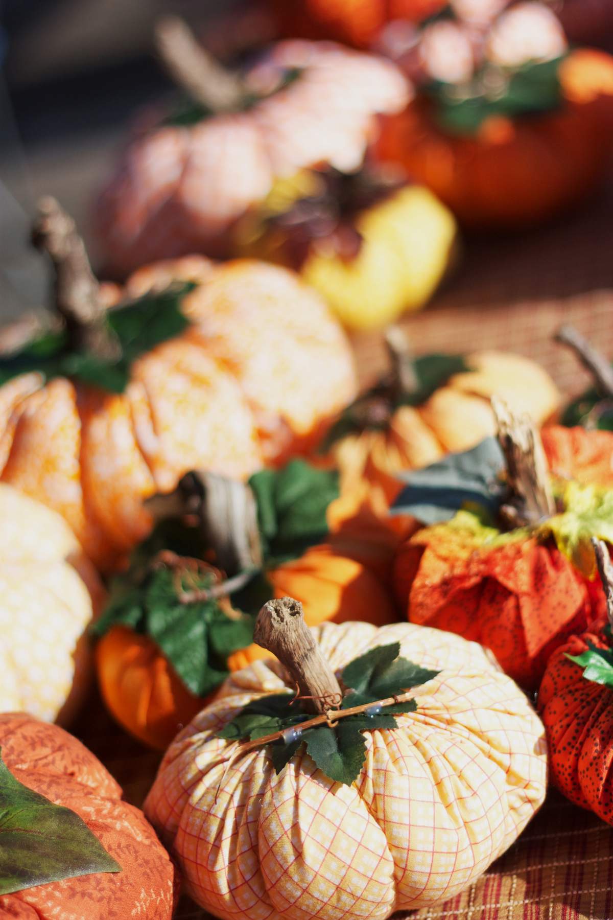 Halloween "Growing Brilliant Fall Festival" | Catch My Party