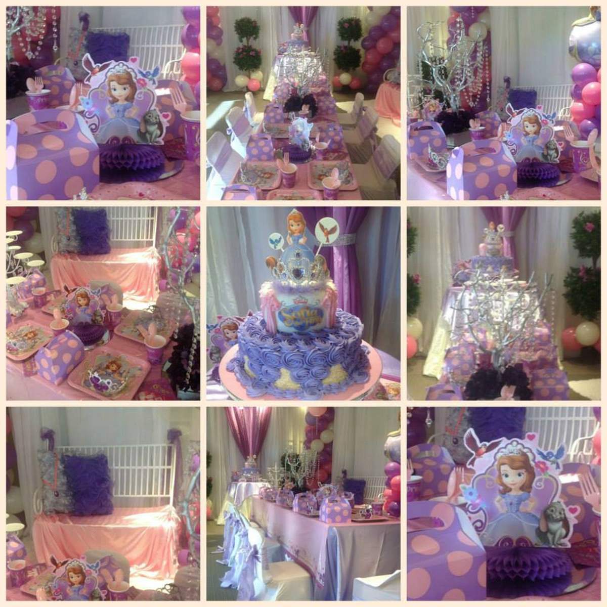 Sofia the First Birthday Party Ideas | Photo 3 of 9 | Catch My Party