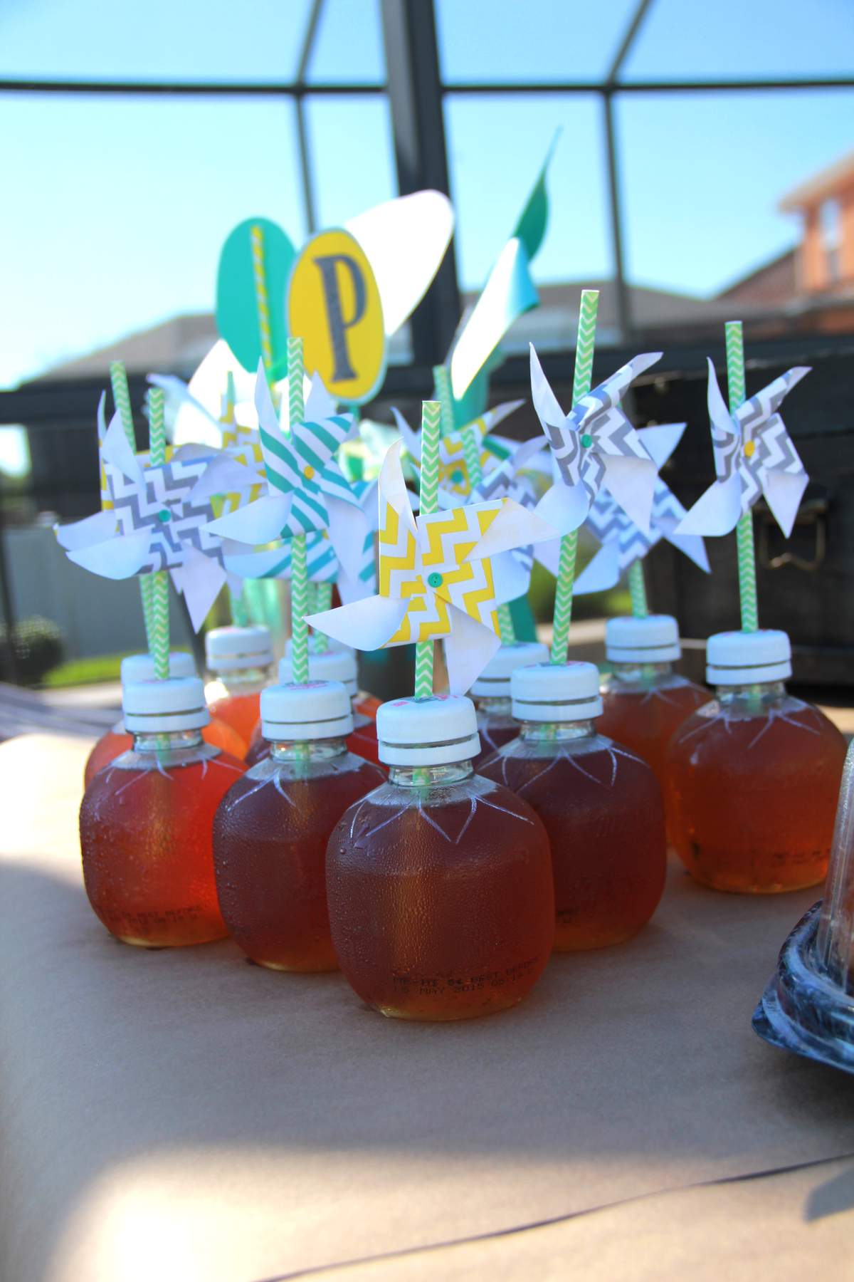 pinwheels, kites, and photographs Birthday Party Ideas | Photo 1 of 46 ...