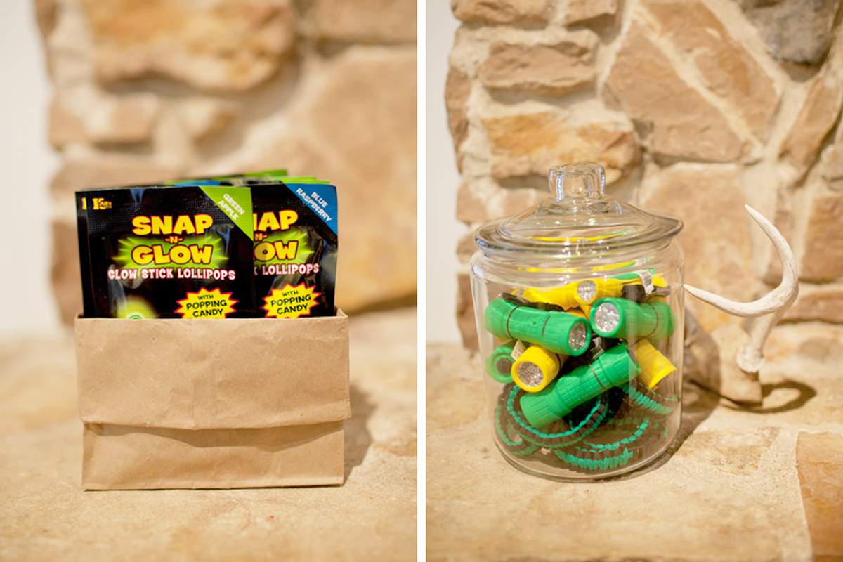 Camping, Smores Birthday Party Ideas | Photo 2 of 26 | Catch My Party