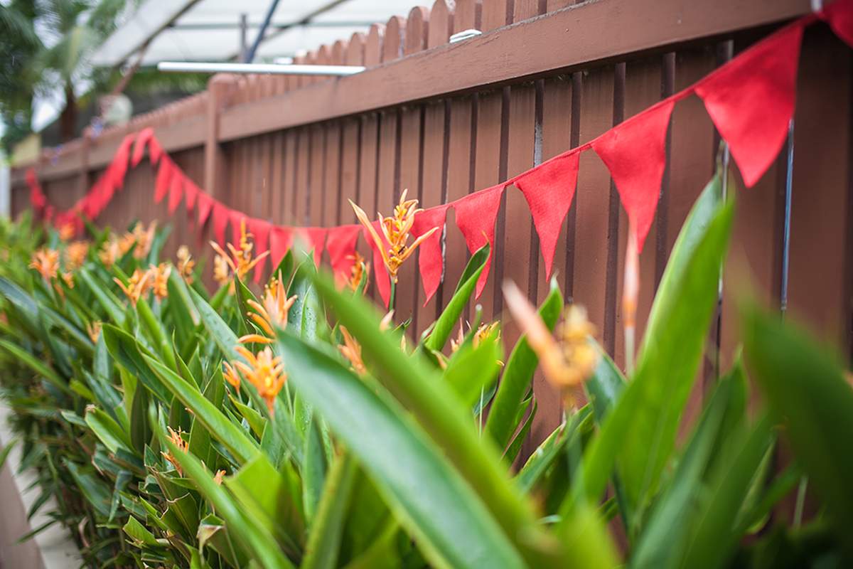 little Red Riding Hood Birthday Party Ideas | Photo 35 of 63 | Catch My ...