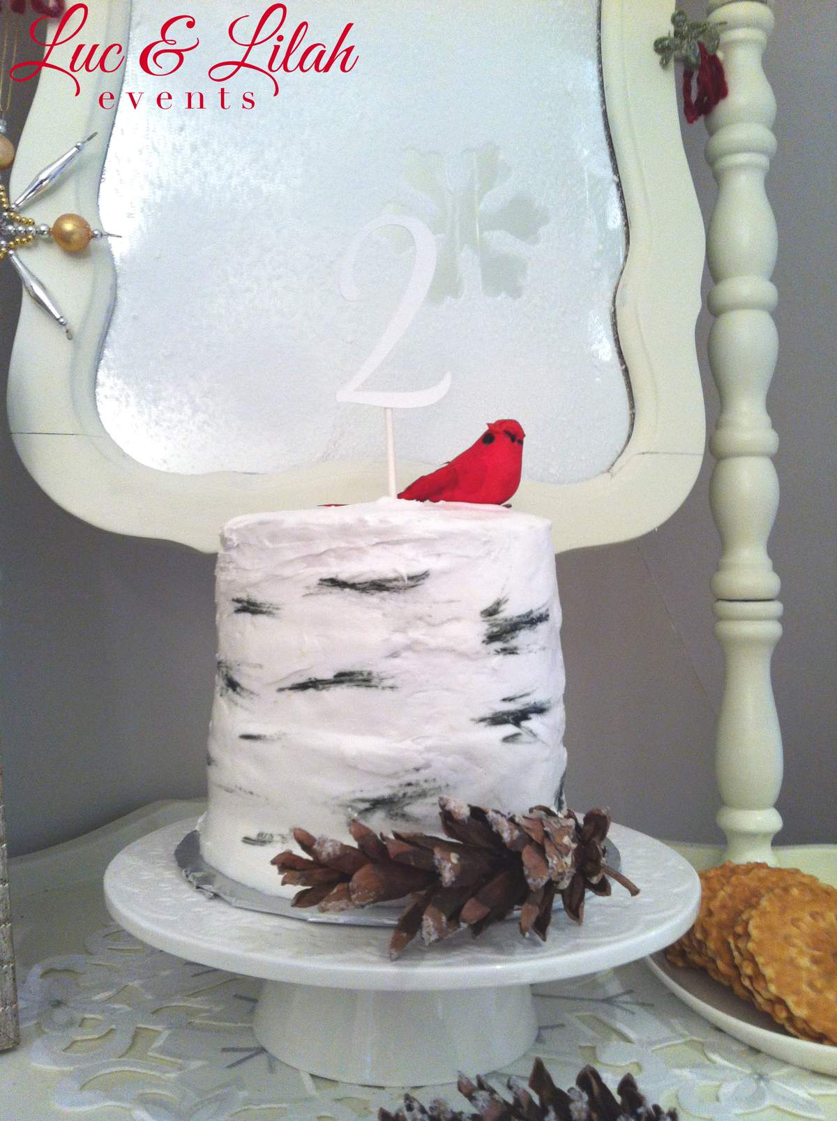 Winter Wonderland, Birch Trees Birthday Party Ideas | Photo 10 of 31 ...