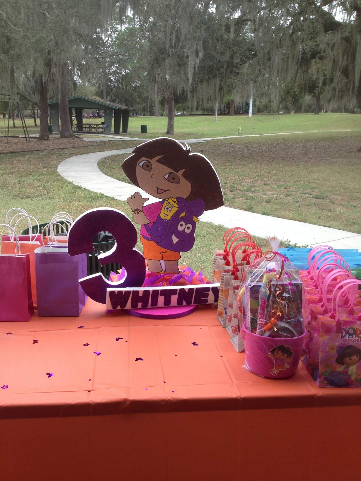 Dora the Explorer Birthday Party Ideas | Photo 8 of 18 | Catch My Party