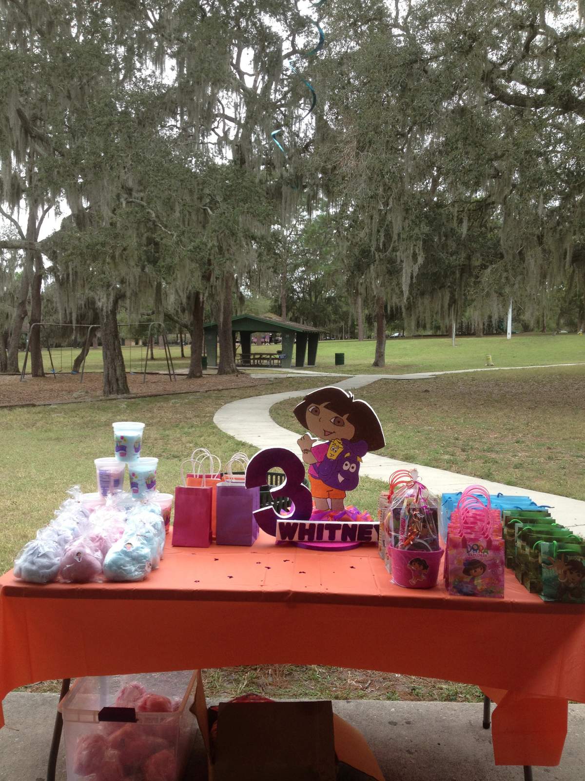 Dora the Explorer Birthday Party Ideas | Photo 8 of 18 | Catch My Party