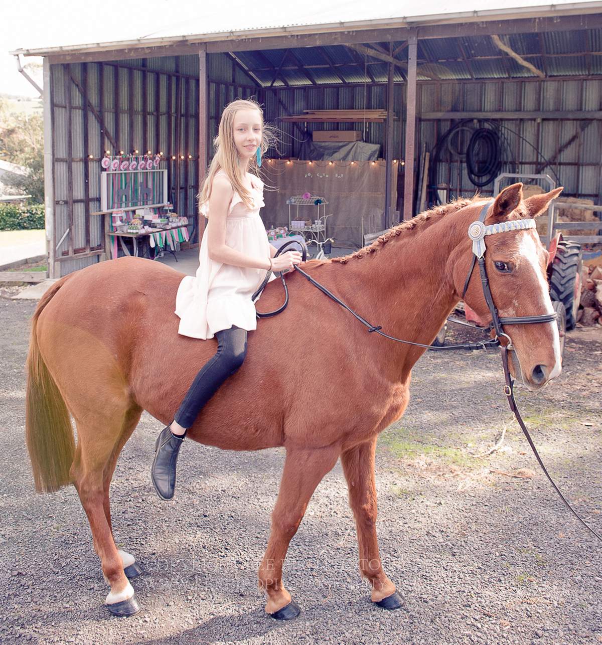 Horse Riding Birthday Party Ideas | Photo 2 of 58 | Catch My Party