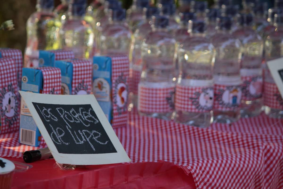 Farm, Barnyard Birthday Party Ideas | Photo 1 of 28 | Catch My Party