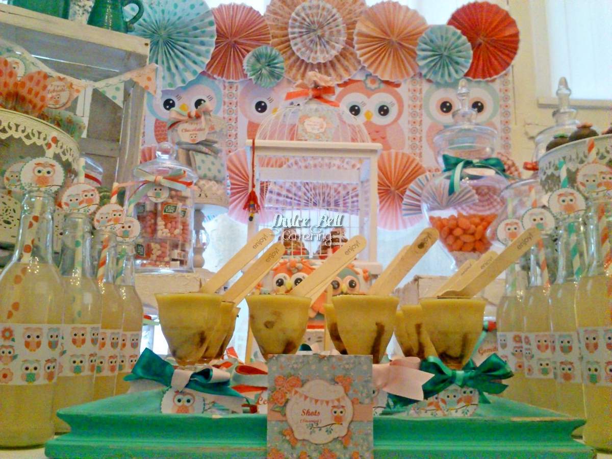 Owls Birthday Party Ideas | Photo 17 of 29 | Catch My Party