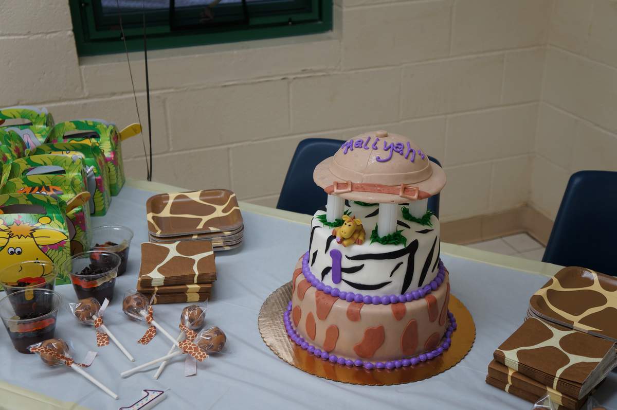 Safari Adventure Birthday Party Ideas | Photo 7 of 26 | Catch My Party