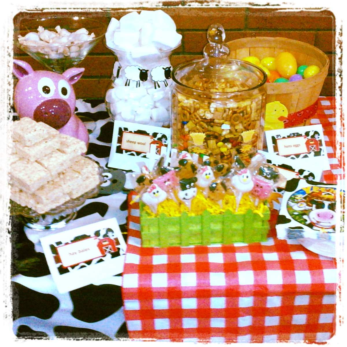 Farm, Barnyard / Birthday "Braxton's Barnyard Bash " | Catch My Party