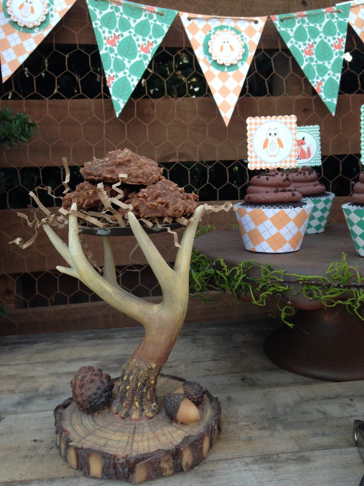 Woodland Birthday Party Ideas | Photo 1 of 13 | Catch My Party