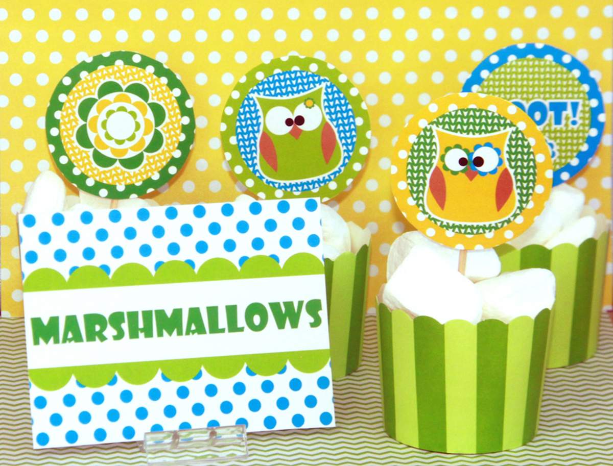 Owls Birthday Party Ideas | Photo 1 of 27 | Catch My Party