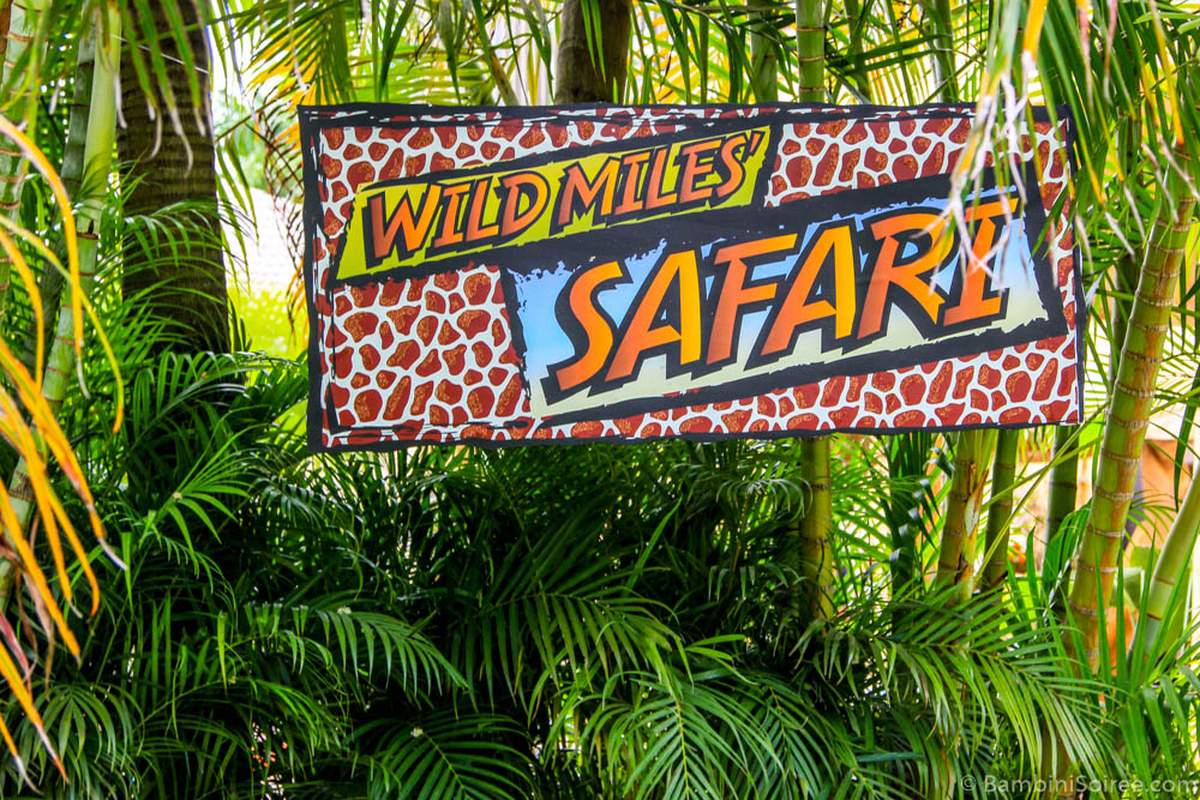 Safari Adventure Birthday Party Ideas | Photo 1 of 11 | Catch My Party