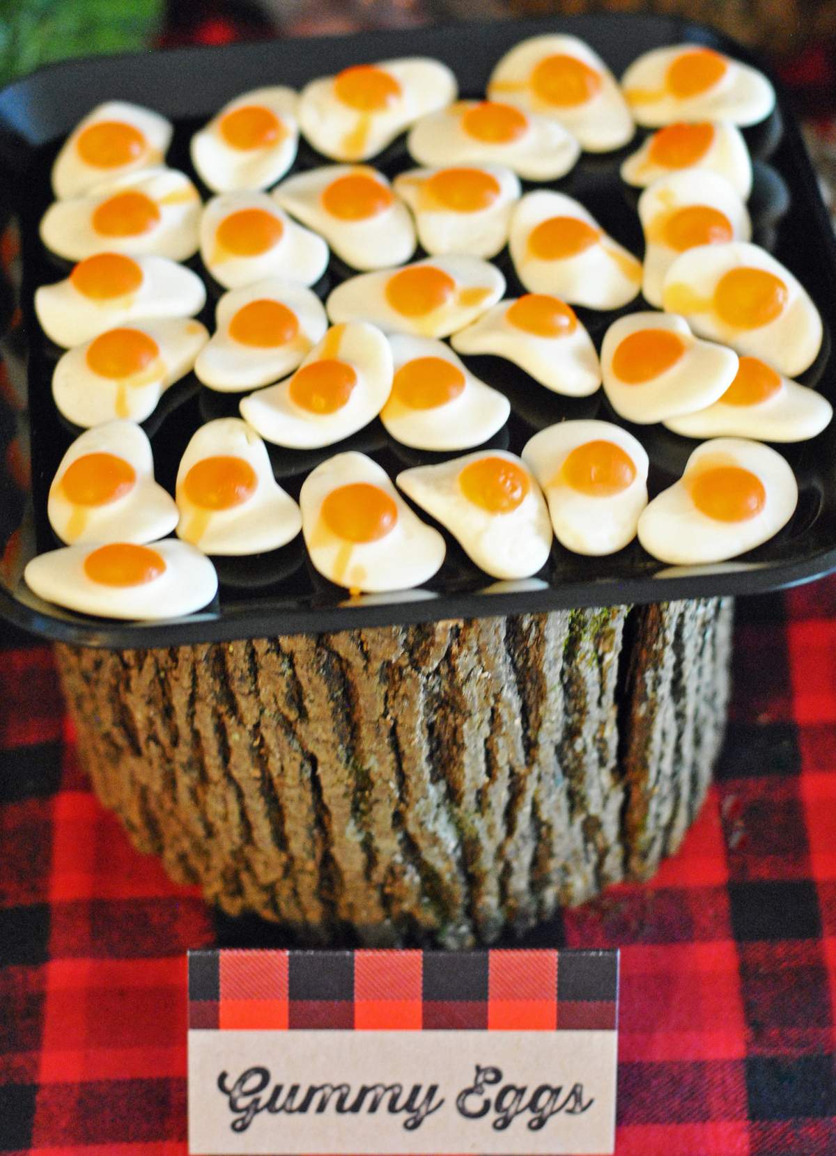 Lumberjack, Camping Birthday Party Ideas | Photo 1 of 31 | Catch My Party