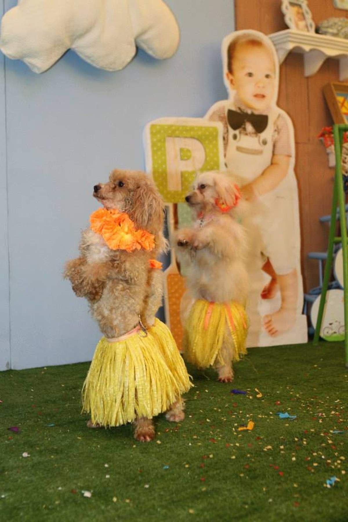 Kite Birthday Party Ideas | Photo 15 of 42 | Catch My Party