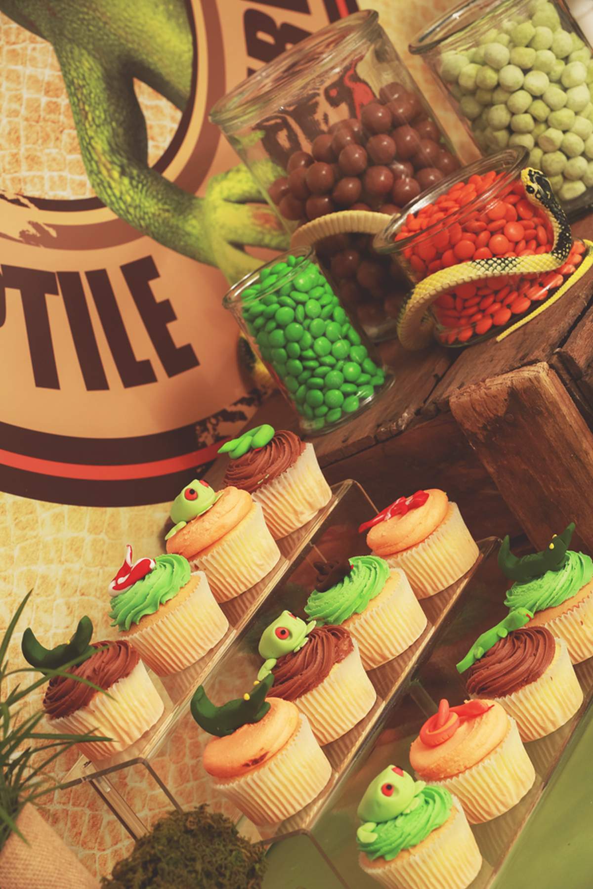 Reptiles Birthday Party Ideas | Photo 1 of 24 | Catch My Party