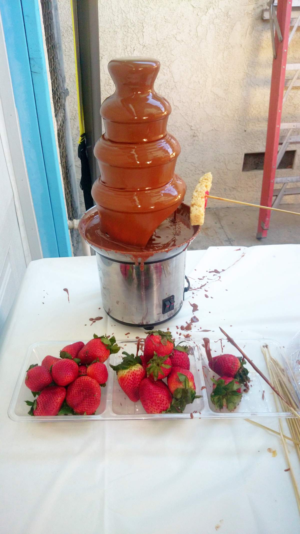 Doc Mc Stuffins Birthday Party Ideas | Photo 5 of 53 | Catch My Party