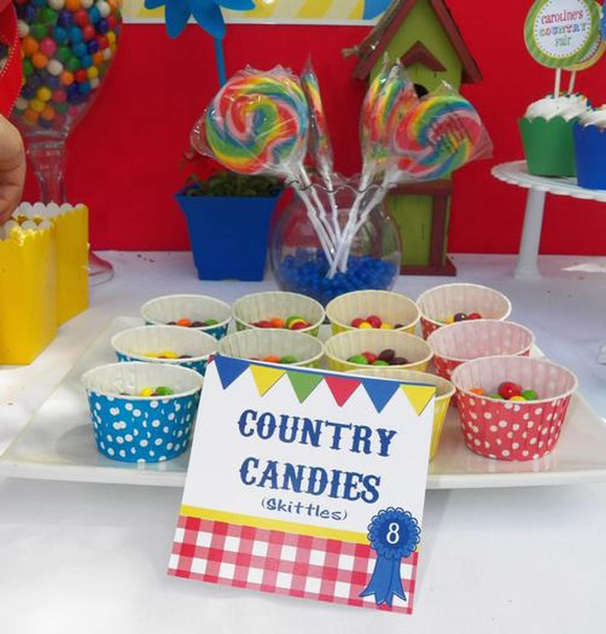 Country Fair/ Carnival Birthday Party Ideas | Photo 1 of 36 | Catch My ...