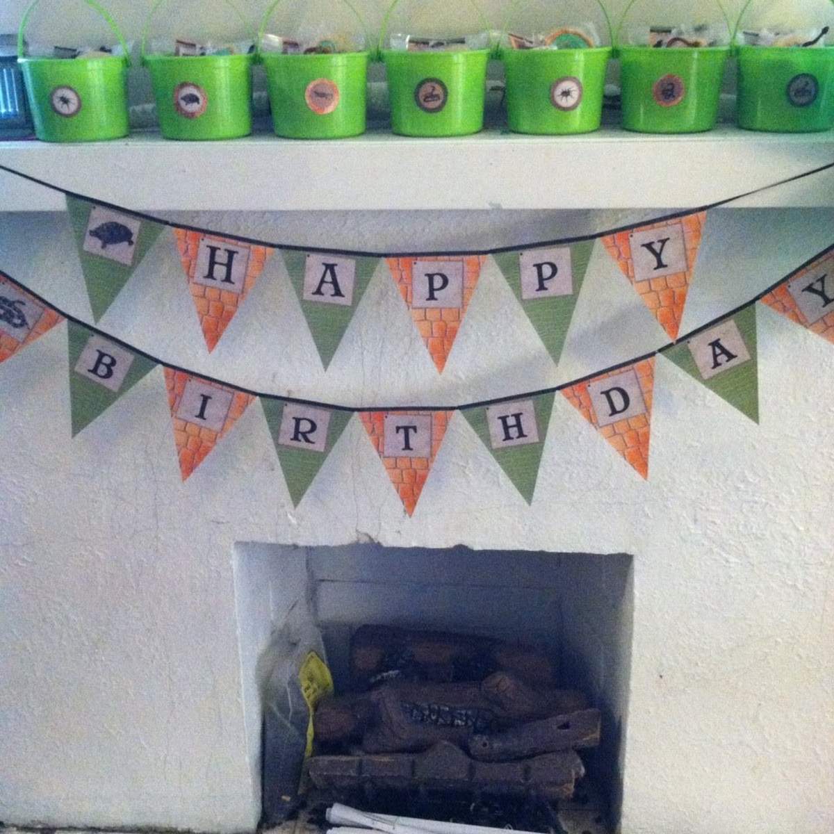 Reptiles Birthday Party Ideas | Photo 6 of 16 | Catch My Party