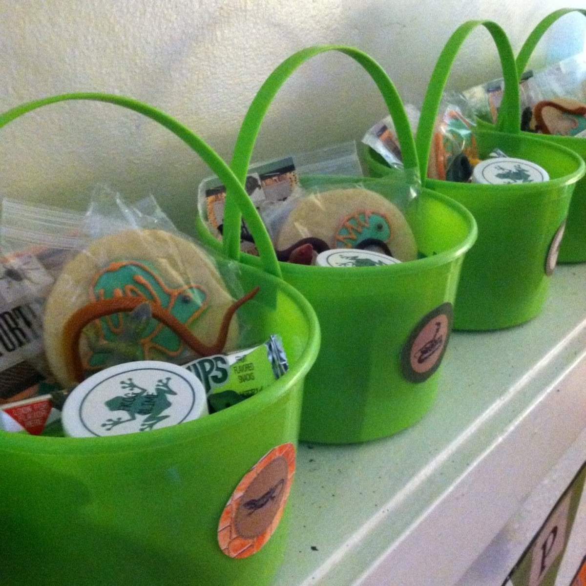 Reptiles Birthday Party Ideas | Photo 6 of 16 | Catch My Party