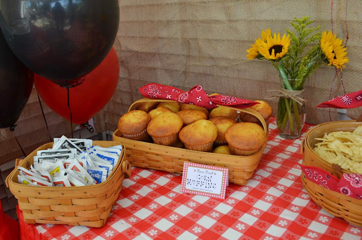 Country-Western Birthday Party Ideas | Photo 8 of 30 | Catch My Party