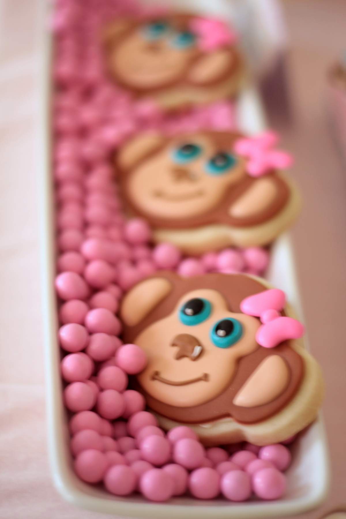 monkey girl Birthday Party Ideas | Photo 8 of 51 | Catch My Party