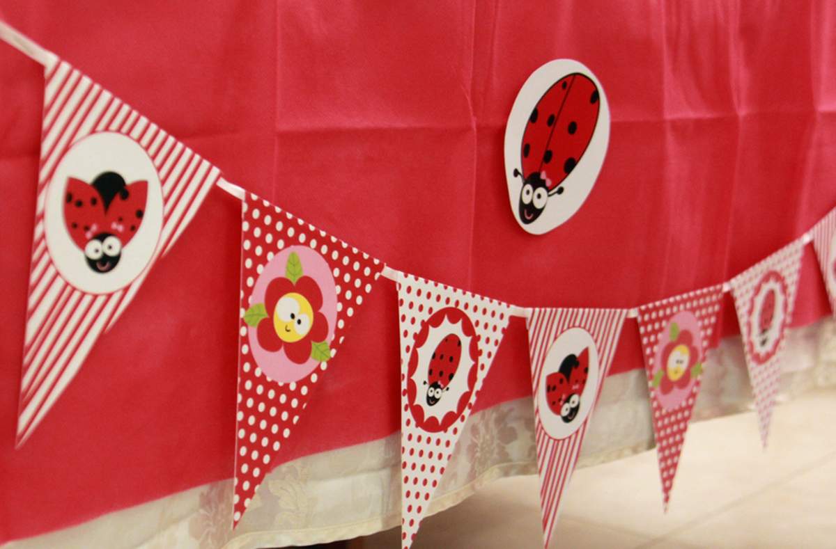 Ladybug Birthday Party Birthday Party Ideas | Photo 3 of 77 | Catch My ...