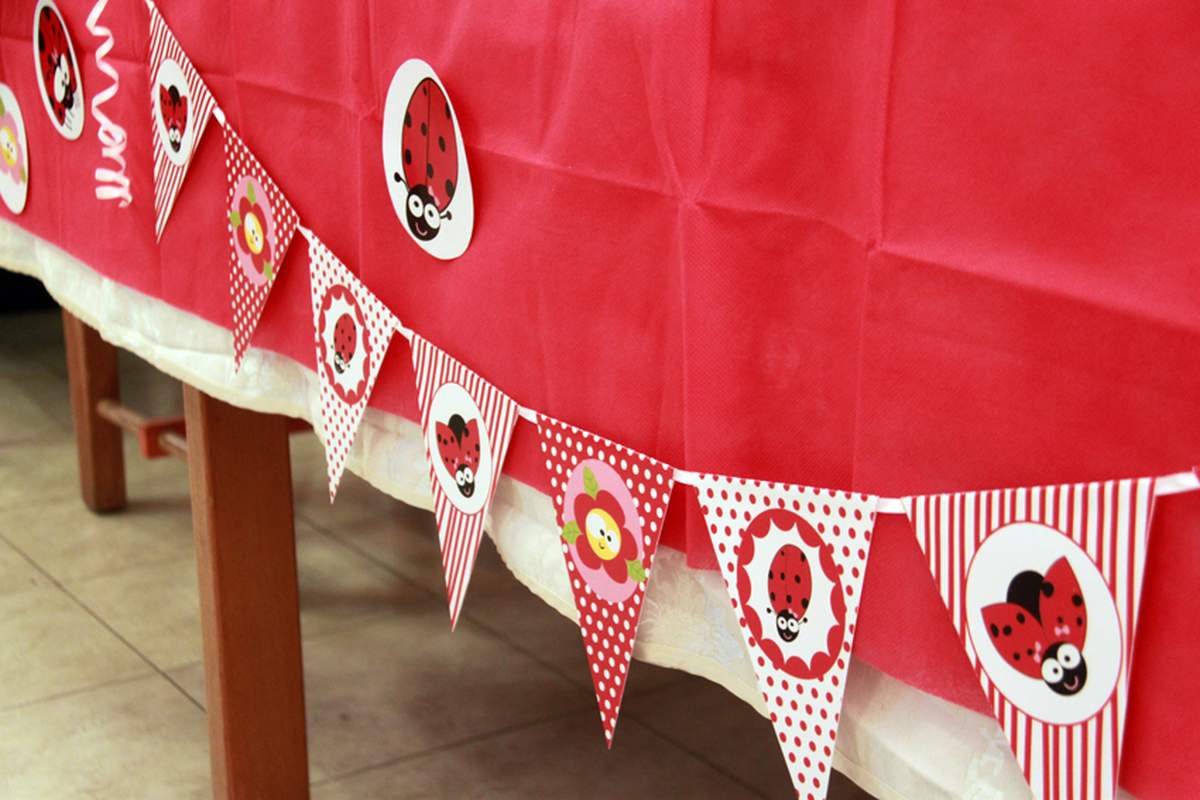 Ladybug Birthday Party Birthday Party Ideas | Photo 3 of 77 | Catch My ...