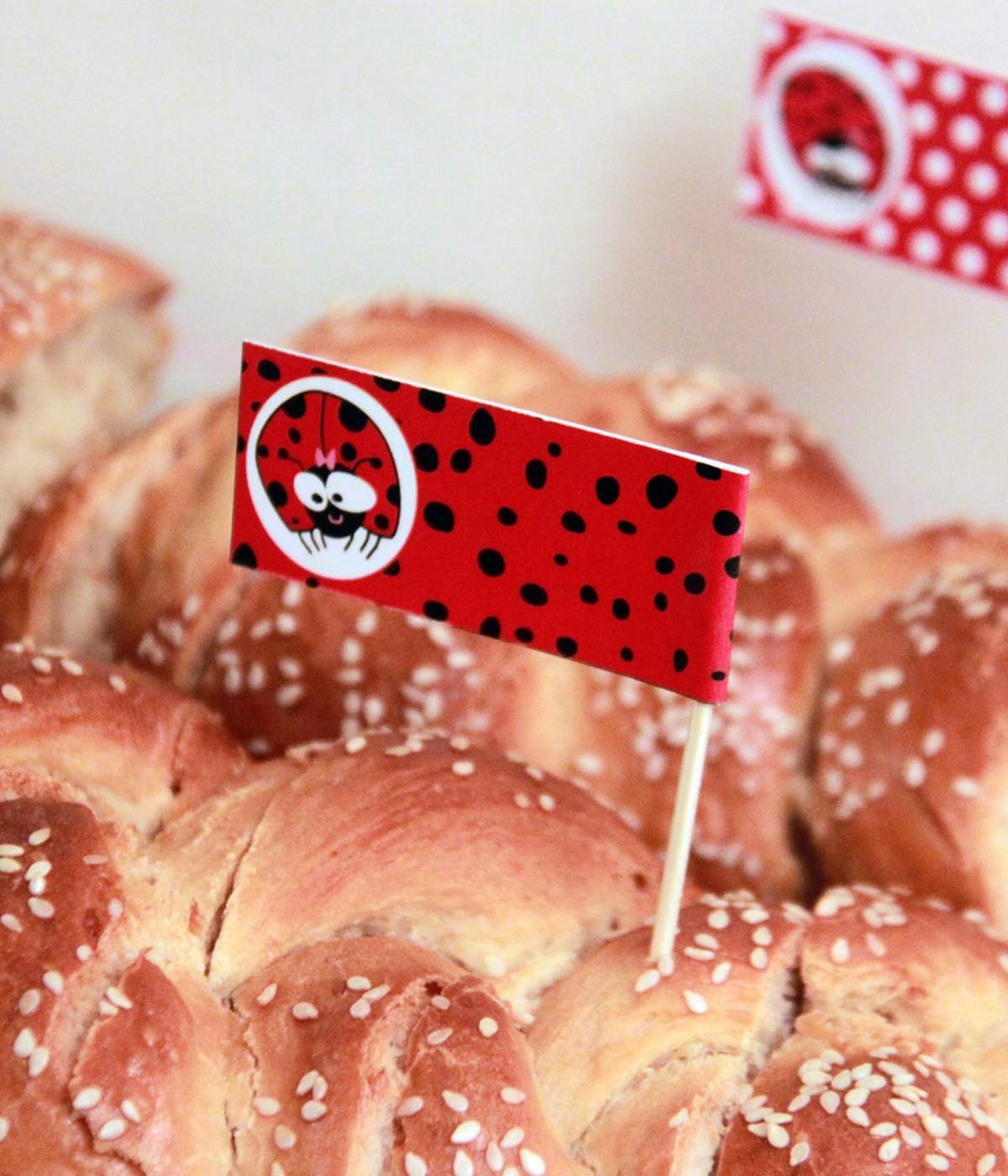 Ladybug Birthday Party Birthday Party Ideas | Photo 3 of 77 | Catch My ...