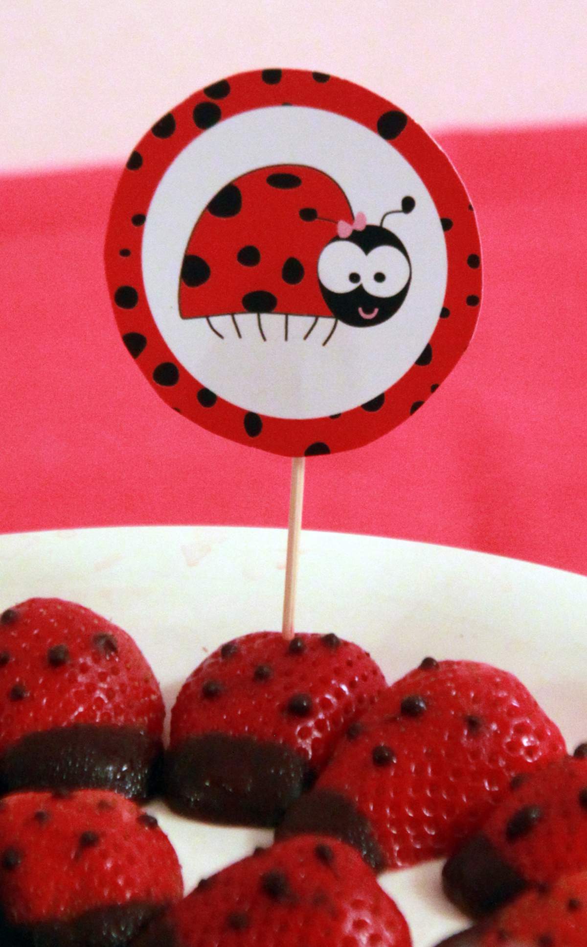 Ladybug Birthday Party Birthday Party Ideas | Photo 3 of 77 | Catch My ...