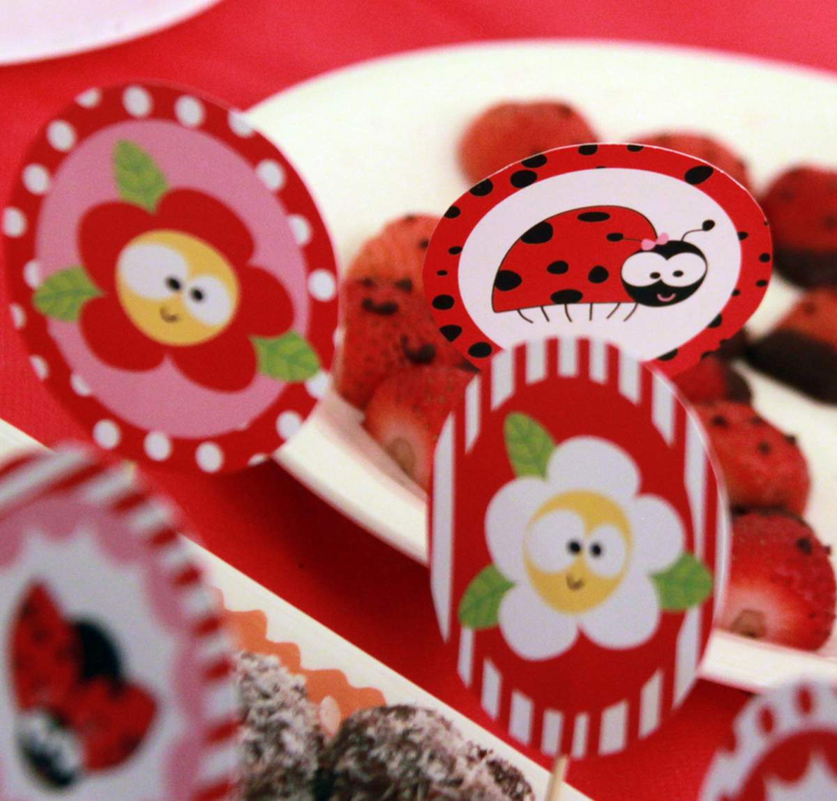 Ladybug Birthday Party Birthday Party Ideas | Photo 10 of 77 | Catch My ...