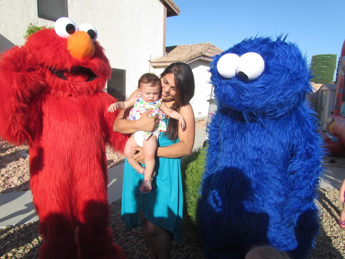 Sesame Street Birthday Party Ideas | Photo 13 of 95 | Catch My Party