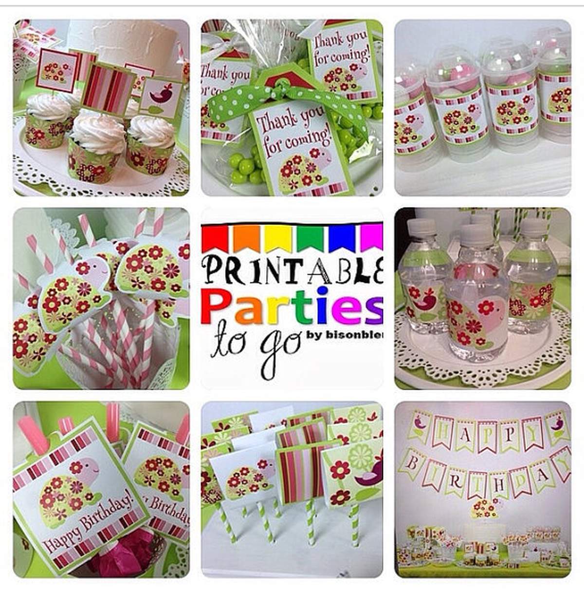 Turtle Birthday Party Birthday Party Ideas | Photo 1 of 32 | Catch My Party