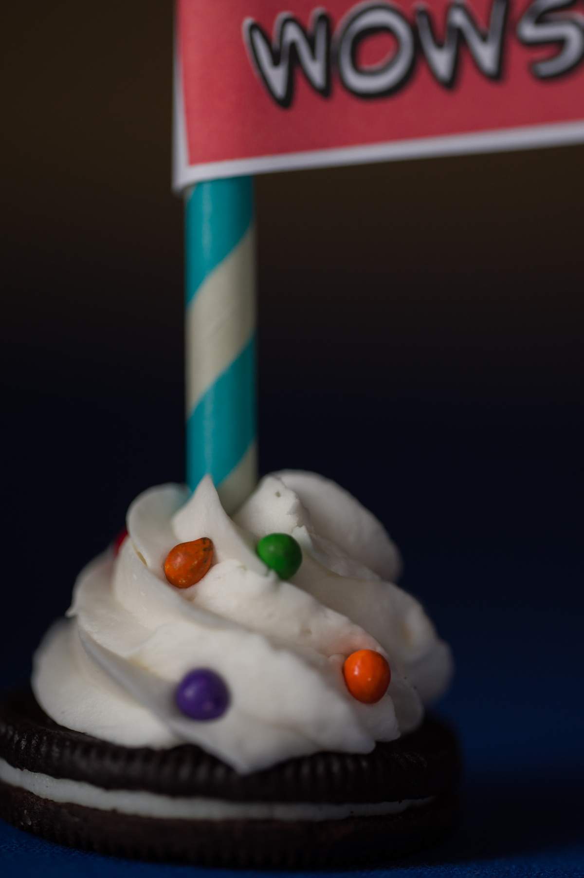 Secret Agents & Spys Birthday Party Ideas | Photo 1 of 75 | Catch My Party