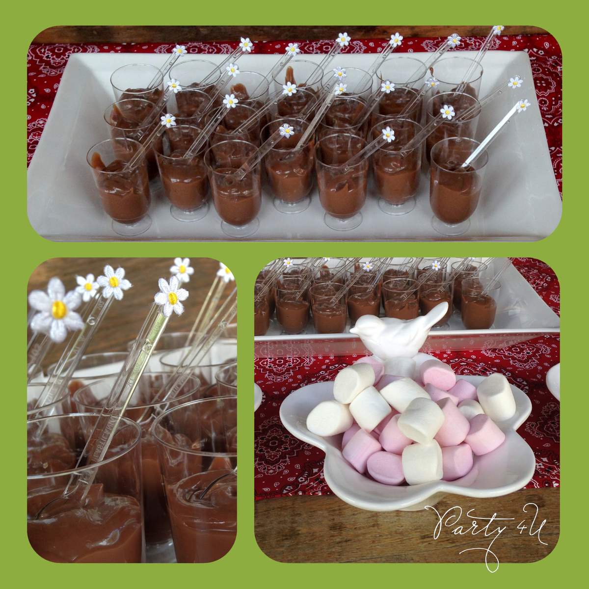 Pic Nic Birthday Party Ideas | Photo 5 of 12 | Catch My Party