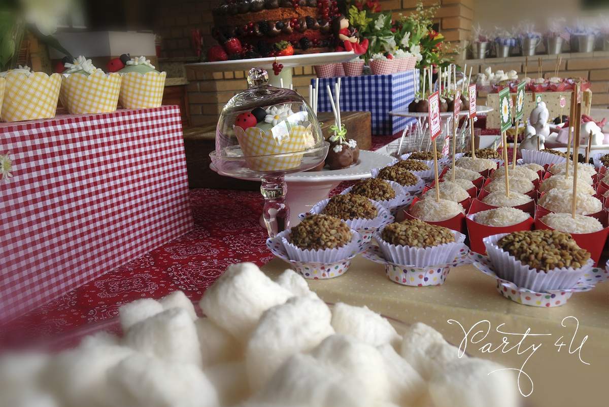 Pic Nic Birthday Party Ideas | Photo 5 of 12 | Catch My Party