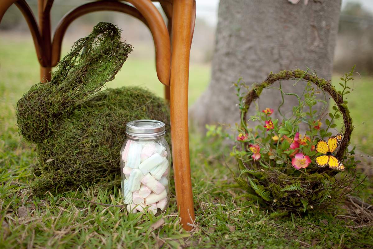 Picnic Spring Party Ideas | Photo 5 of 40 | Catch My Party