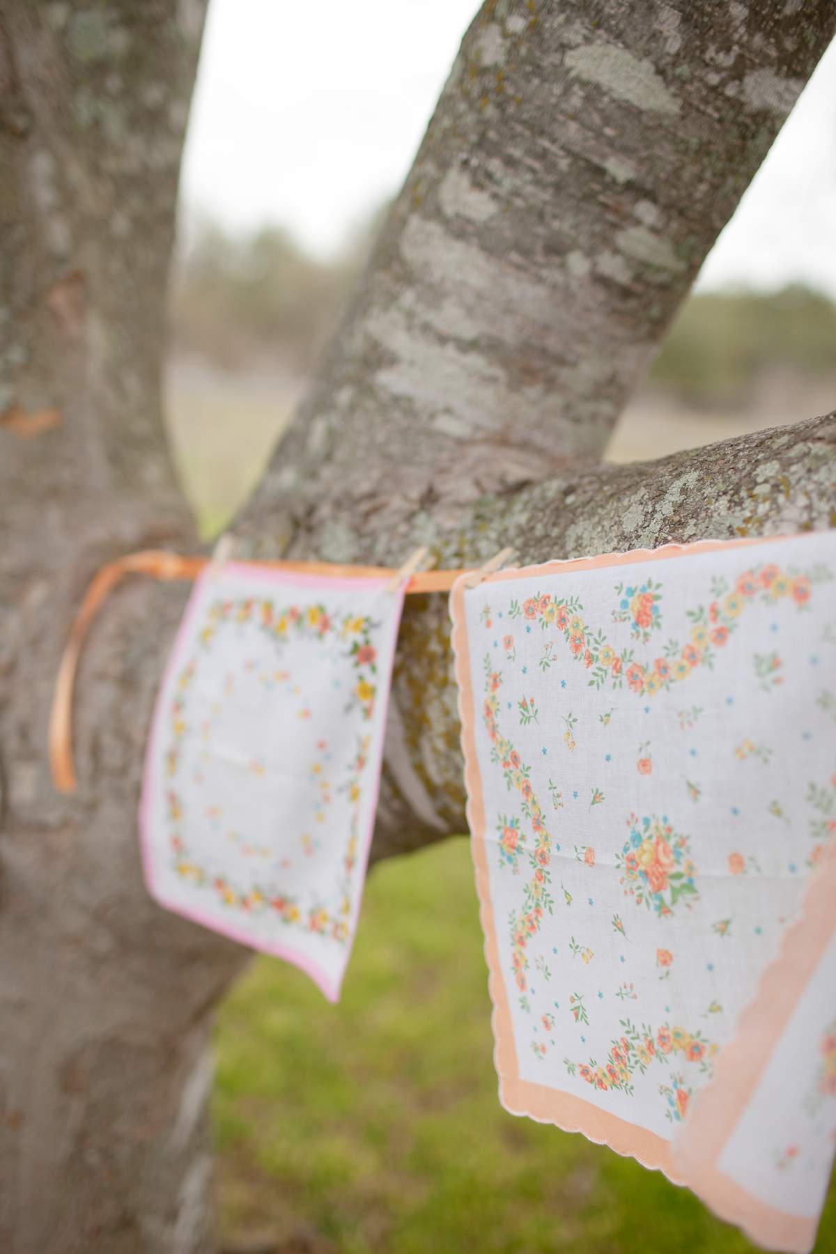 Picnic Spring Party Ideas | Photo 25 of 40 | Catch My Party