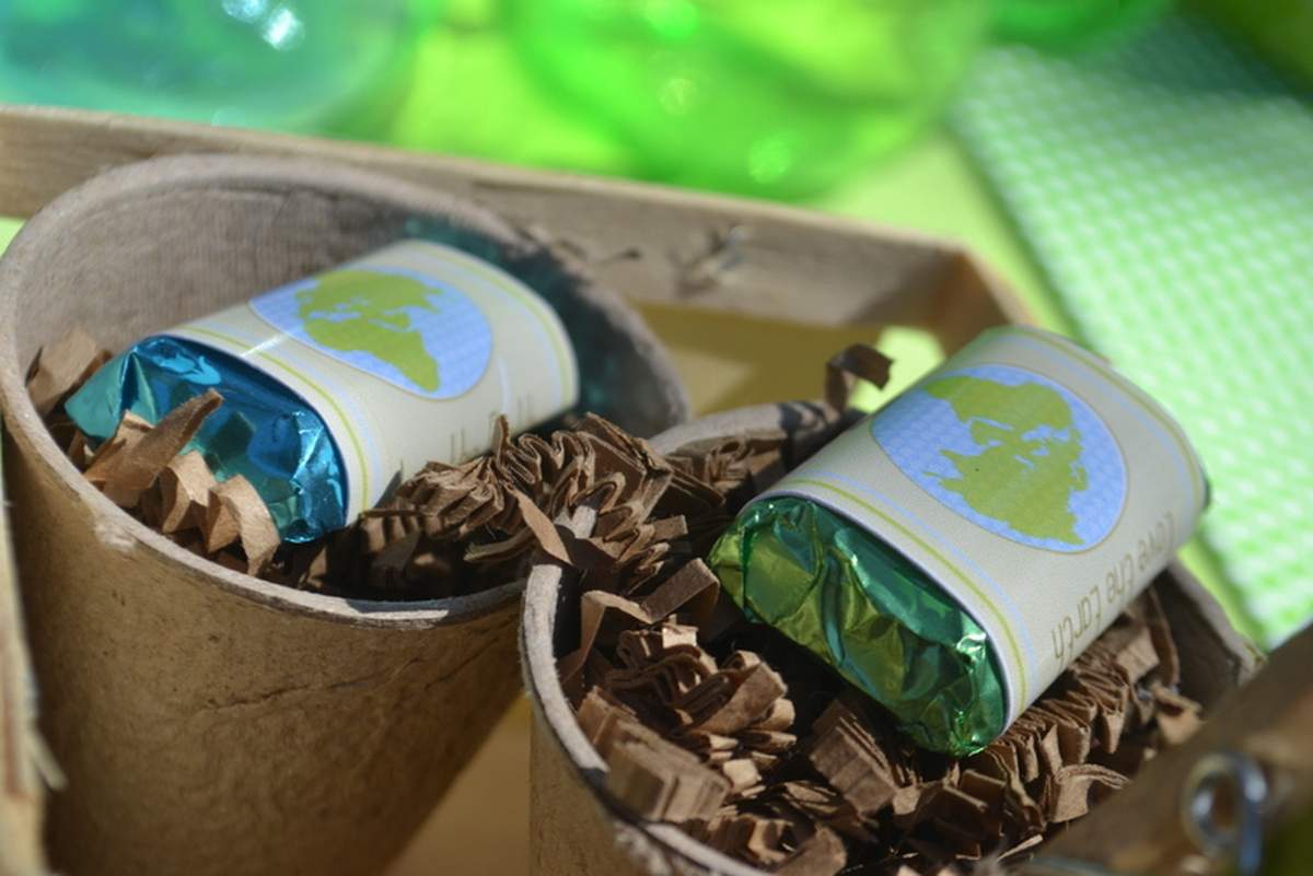 Earth day Earth Day Party Ideas | Photo 13 of 15 | Catch My Party
