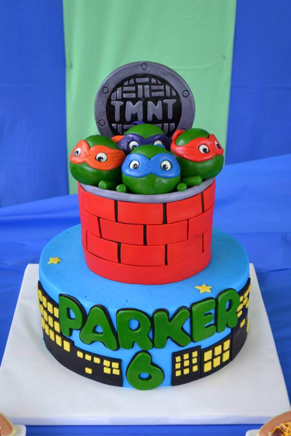 Teenage Mutant Ninja Turtles Birthday Party Ideas | Photo 7 of 37 ...