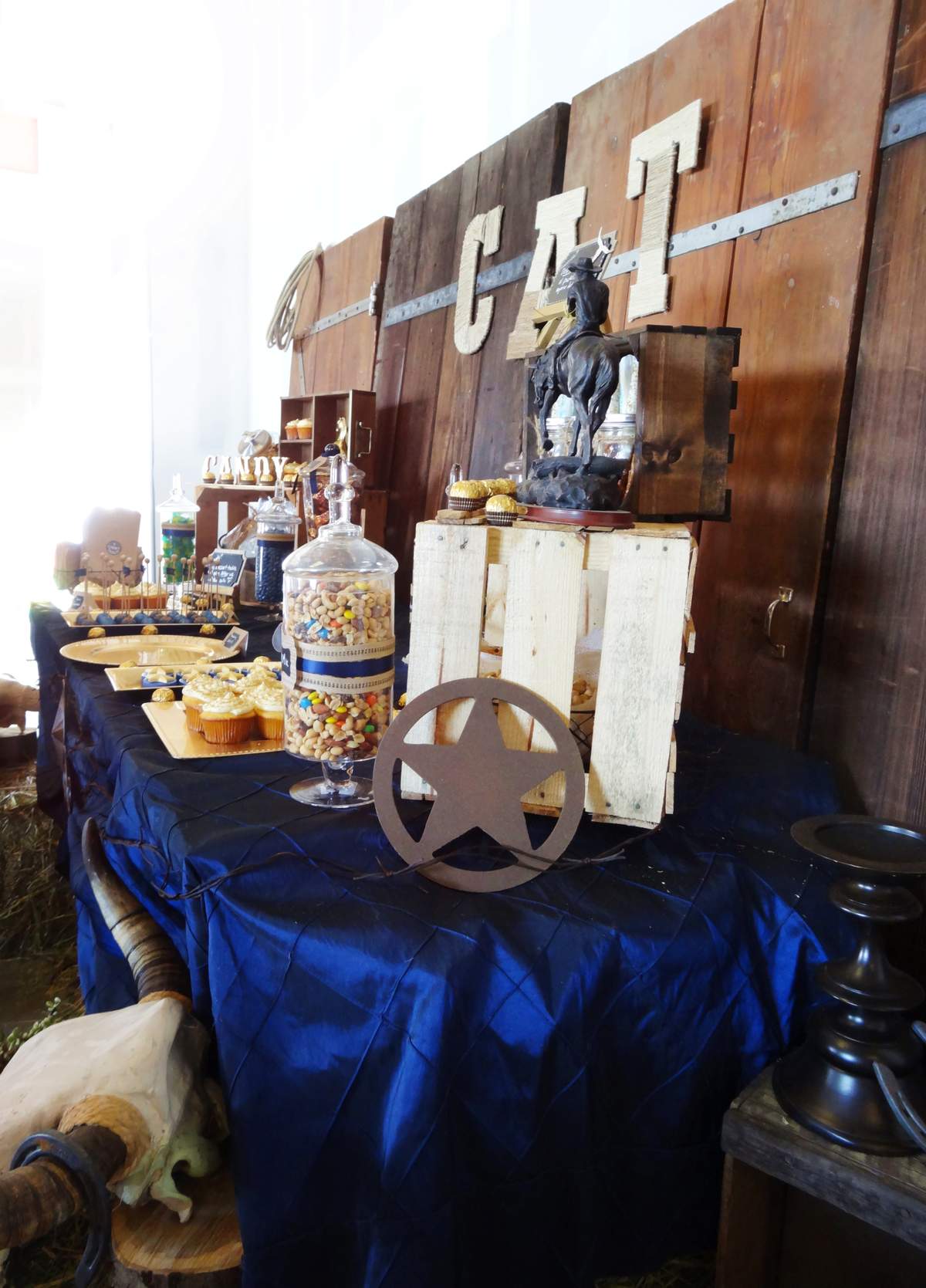 Western/Cowboy Birthday Party Ideas | Photo 1 of 16 | Catch My Party