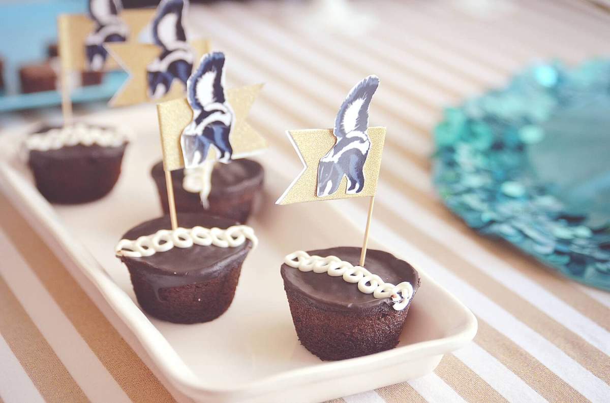 Skunk Birthday Party Ideas | Photo 22 of 25 | Catch My Party