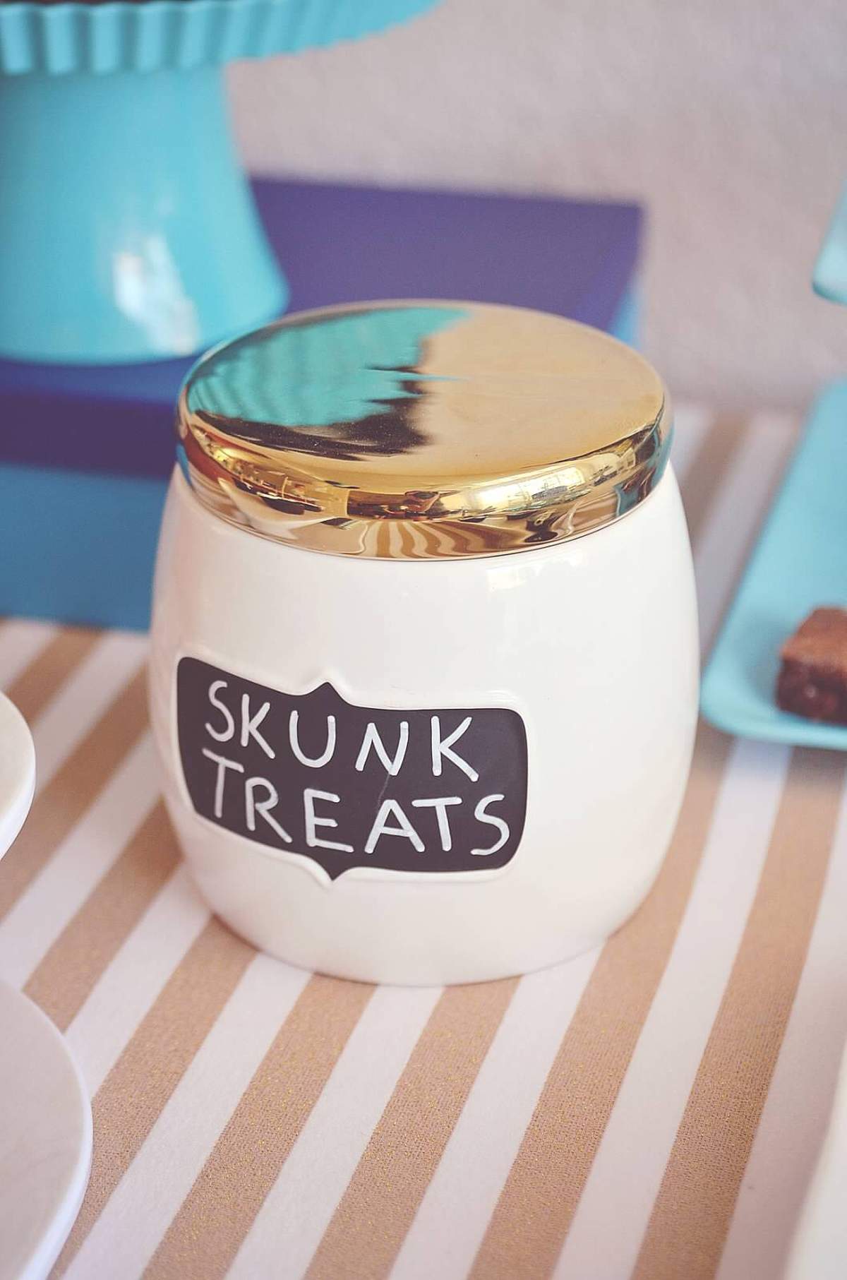 Skunk Birthday Party Ideas | Photo 1 of 25 | Catch My Party
