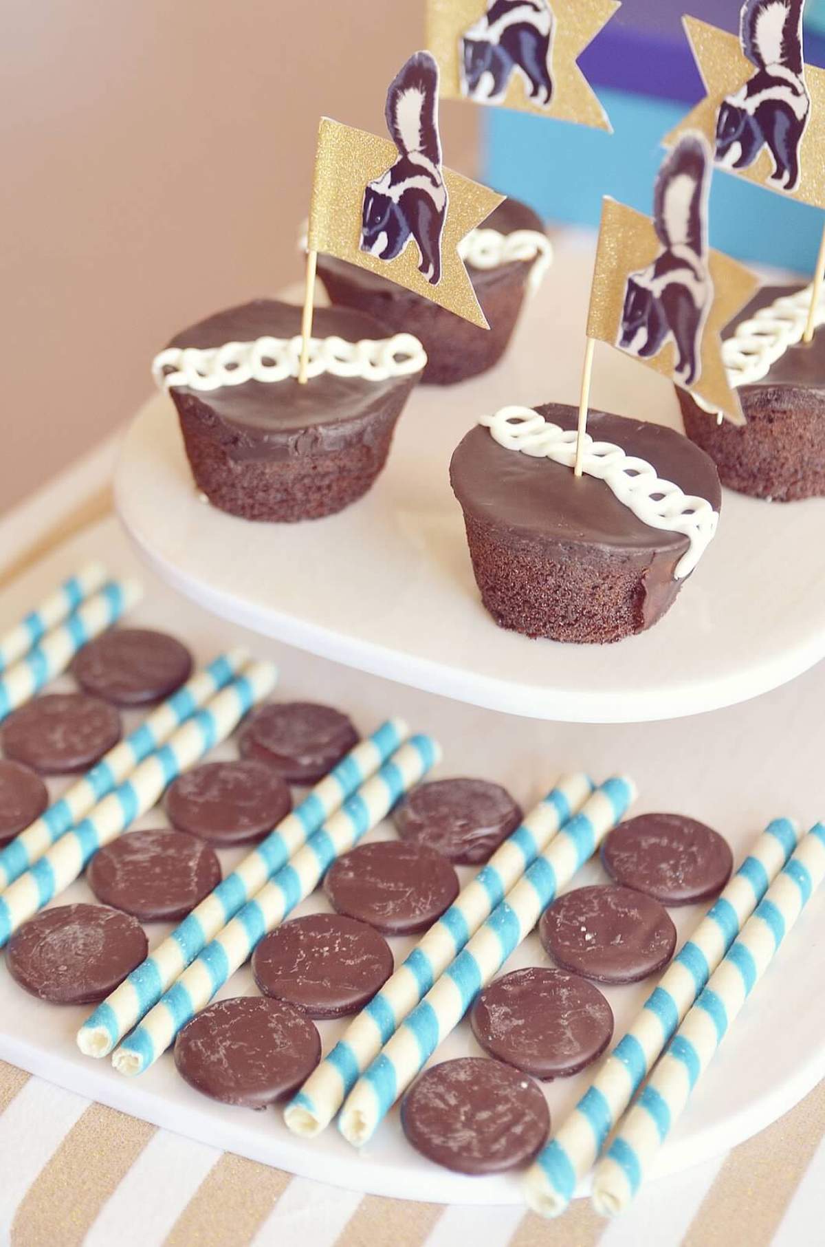 Skunk Birthday Party Ideas | Photo 1 of 25 | Catch My Party