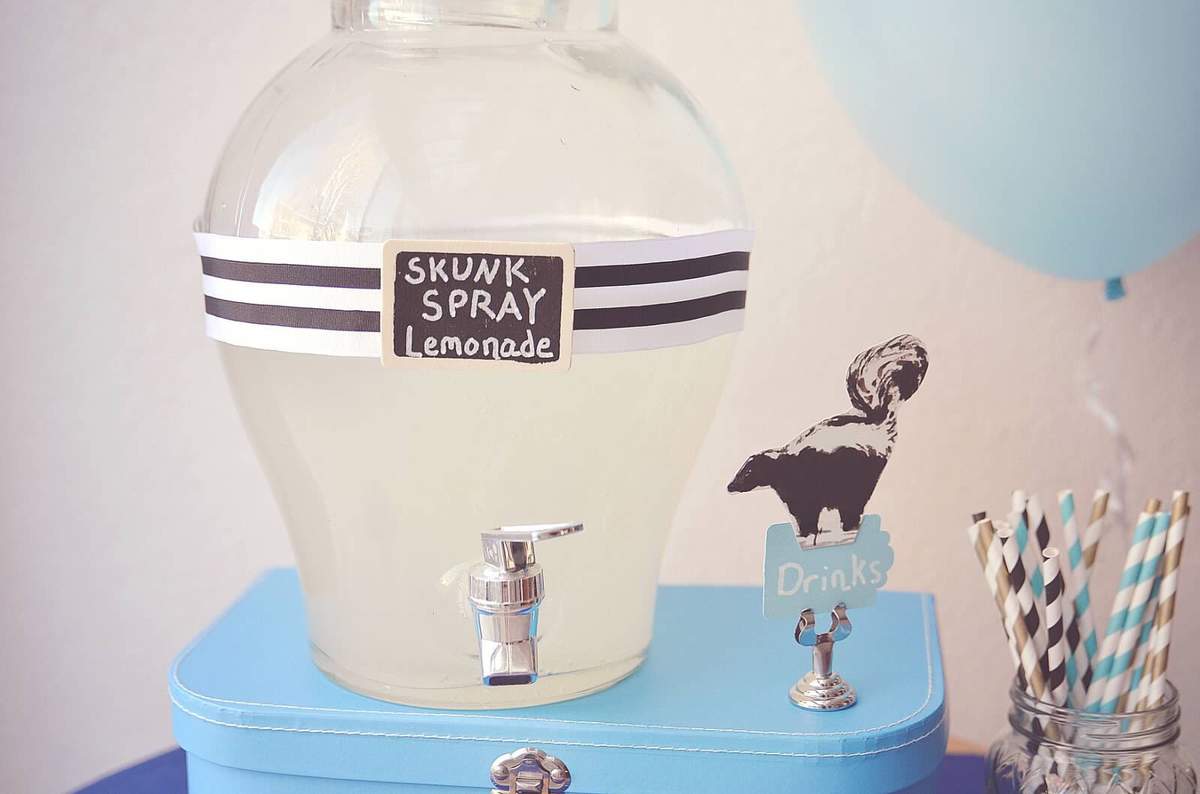 Skunk Birthday Party Ideas | Photo 1 of 25 | Catch My Party