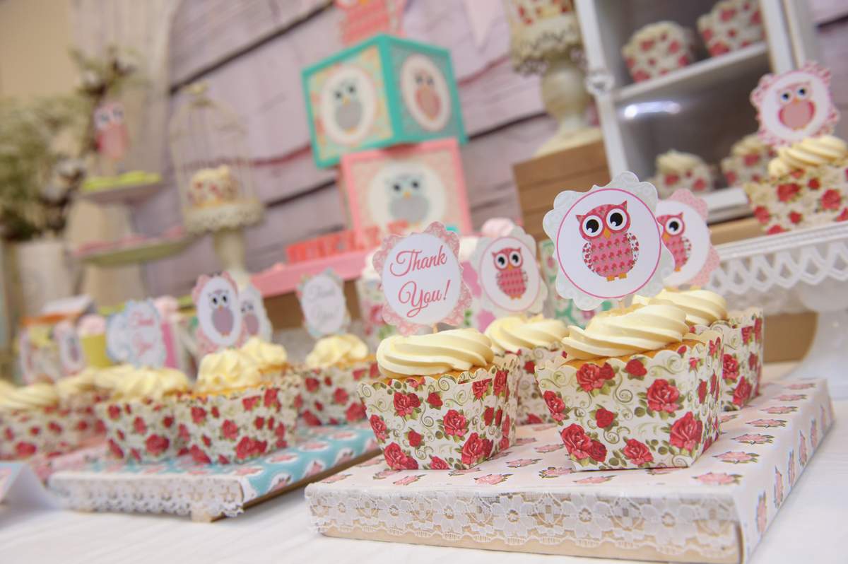 Owl Birthday Party Ideas | Photo 1 of 24 | Catch My Party