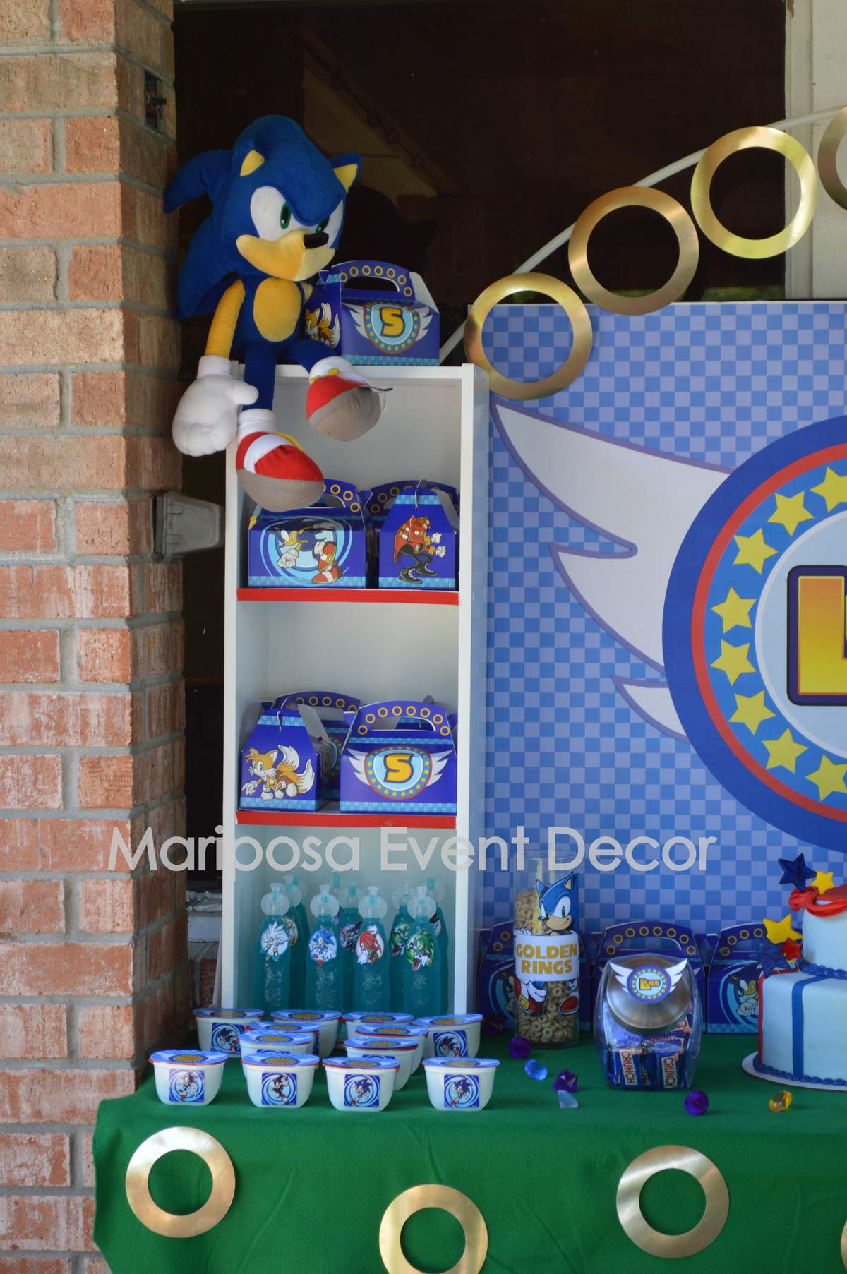 Sonic the Hedgehog Birthday Party Ideas | Photo 1 of 26 | Catch My Party